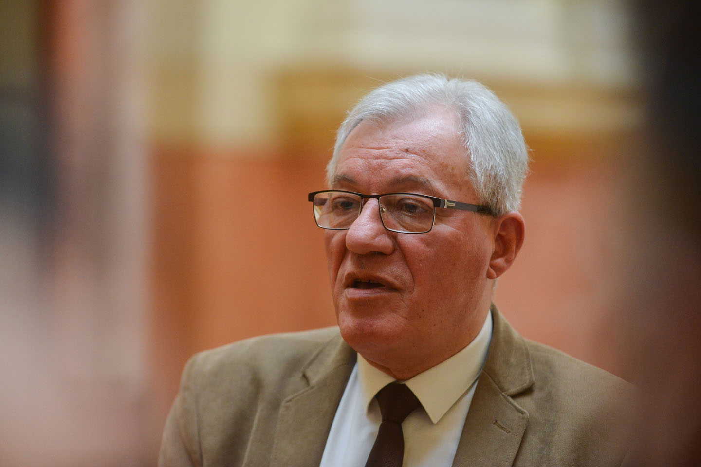 Rade Veljanovski: Bolesti medijskog sistema neće se izlečiti do izbora ...