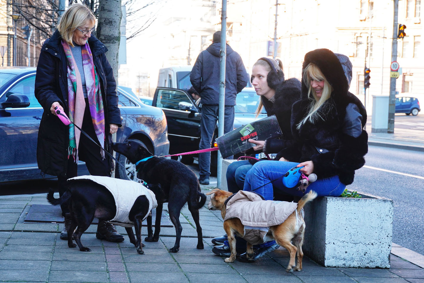 Opasni psi: Ministarstvo poljoprivrede se još nije oglasilo povodom ...